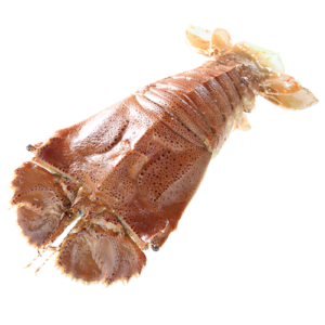 Seafood Products |Online home delivery